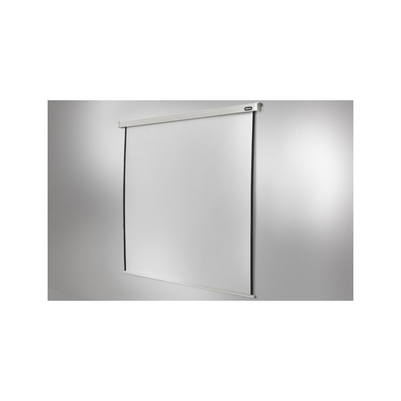 Ceiling motorised PRO 220 x 220 cm projection screen